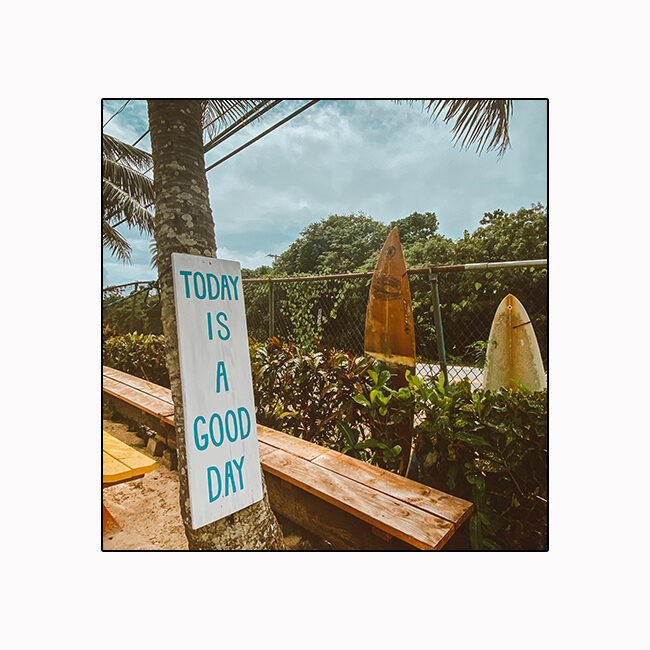 Poke Hawaiian Sushi | Untamed Digital Agency